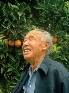 Eiichi Edward Sakauye: Impact of the Alien Land Laws - Densho: Japanese ...