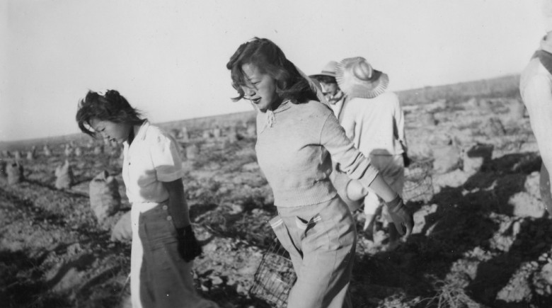Minidoka Concentration Camp: Looking Back 70 Years Later - Densho ...
