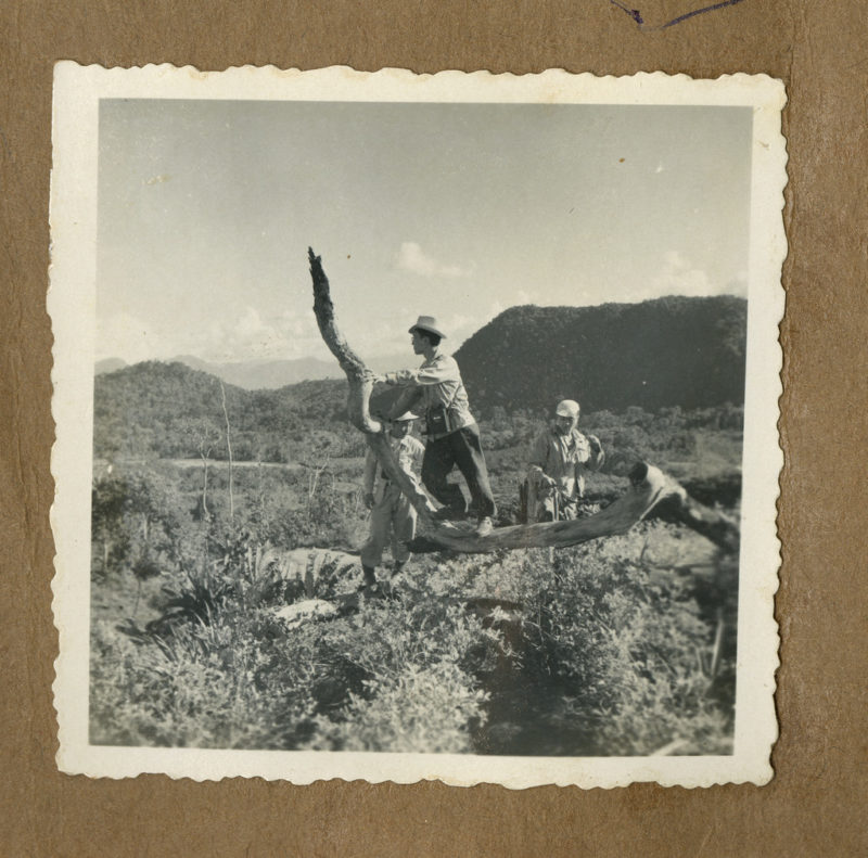 Photo Essay: Japanese Peruvian Lives Before World War II