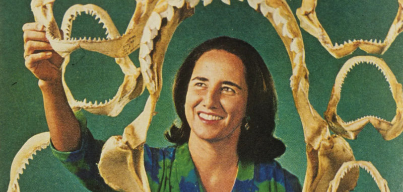 Eugenie Clark Swam with Sharks and Blazed a Path for Women in Science