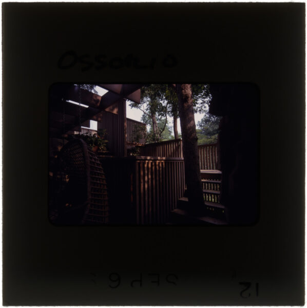 How Kaneji Domoto’s “Compassionate Architecture” Highlights The ...