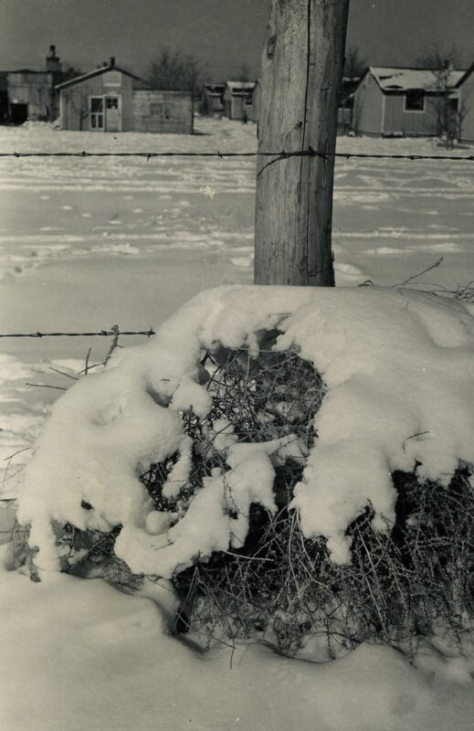 Photo Essay: Amache Through the Lens of George Ochikubo