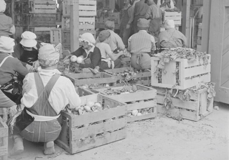 Topaz - Densho: Japanese American Incarceration and Japanese Internment