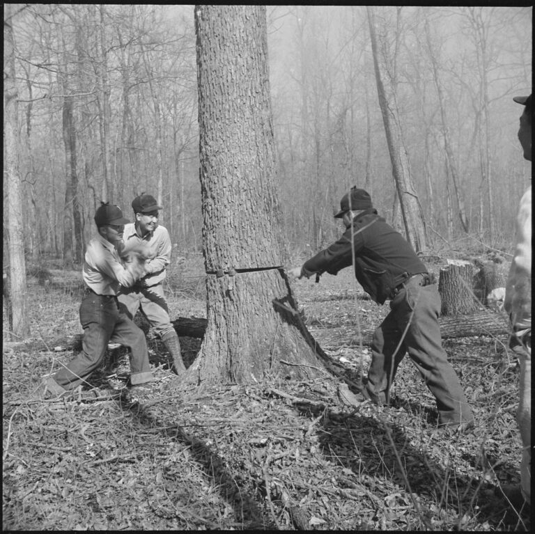 The Labor History of Japanese American Incarceration during WWII ...
