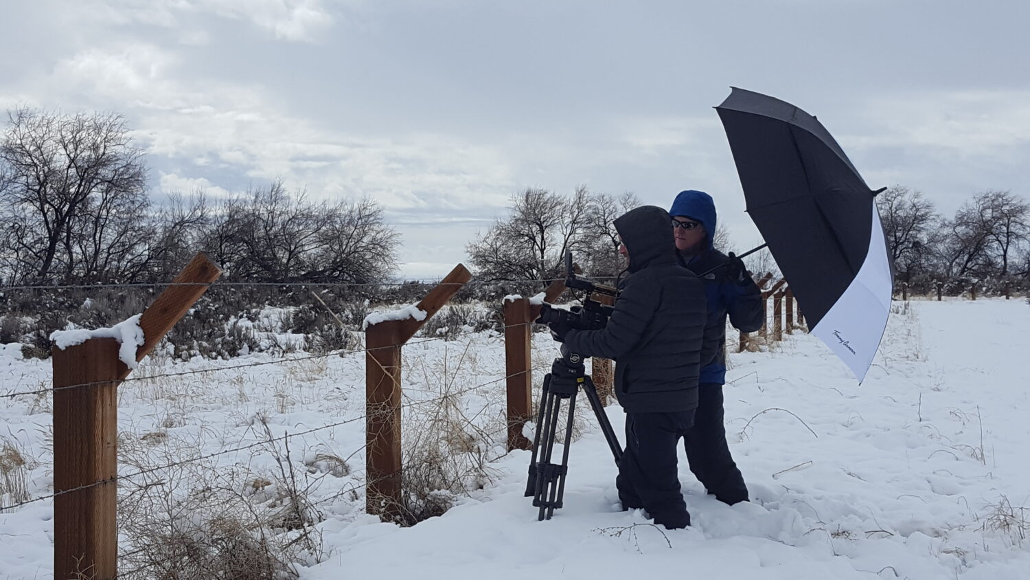 Celebrating 25 Years of Minidoka National Historic Site: A Testament to ...